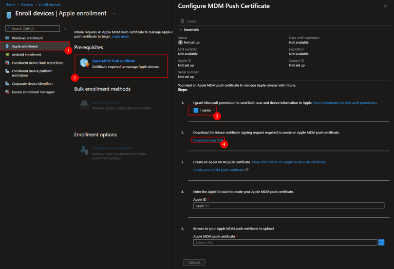 Getting Started with Mac Management in Microsoft Intune – AI & Modern ...